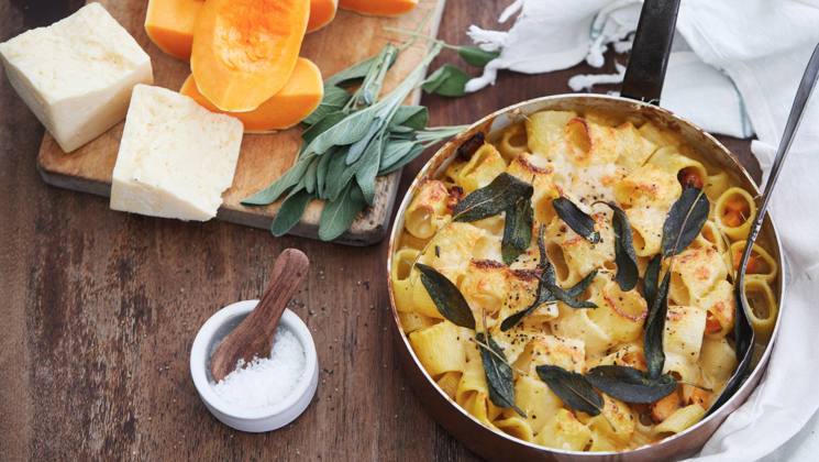 Welcome to Castello Cheese | Castello®️